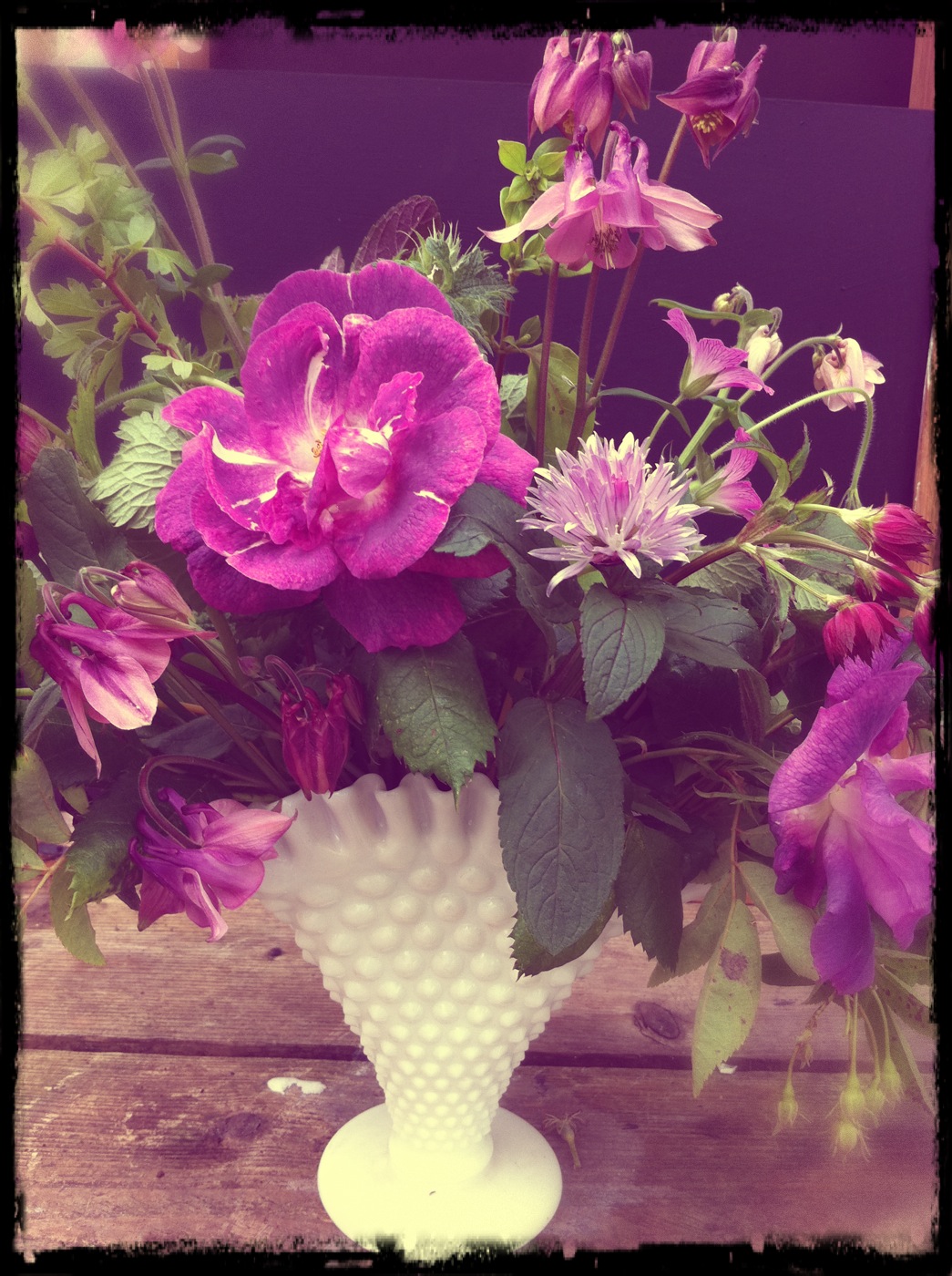 helen james design: Flowers