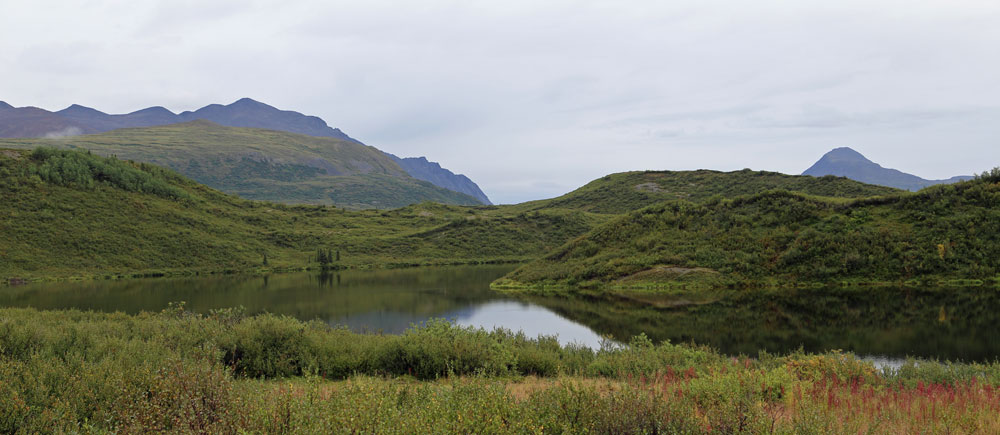 usbackroads™: usbackroads destination--Tangle Lakes Campground, Denali ...