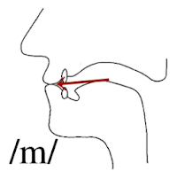 Nasal sounds /m/, /n/and/ᶇ/