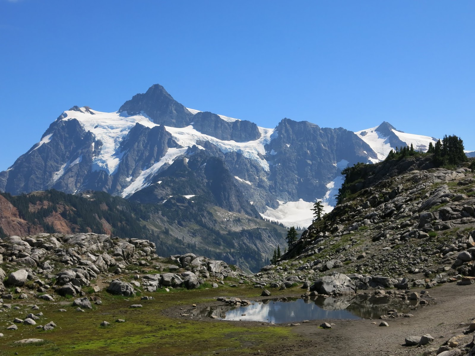 The Chatty Housewife: Mt Baker's Artist Point