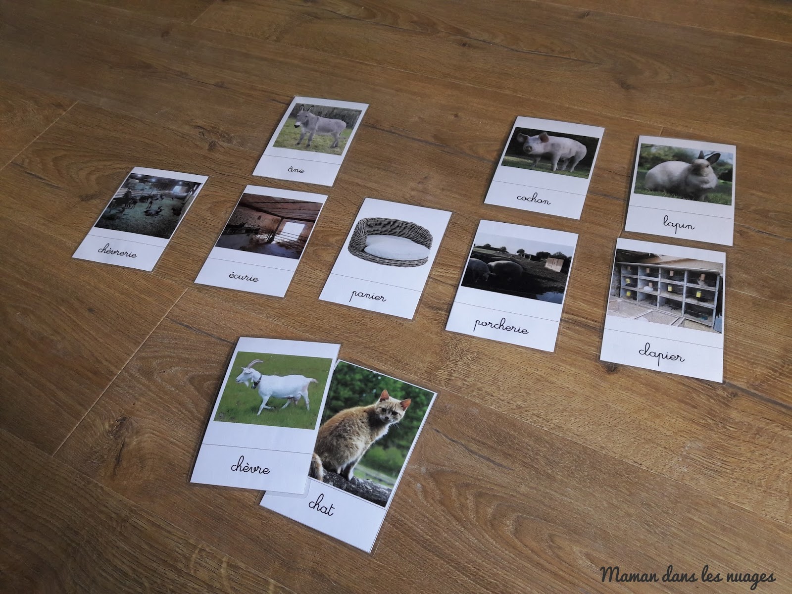 Maman dans les nuages: Cartes de nomenclature des habitats des animaux ...