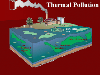 Geography: Thermal Pollution