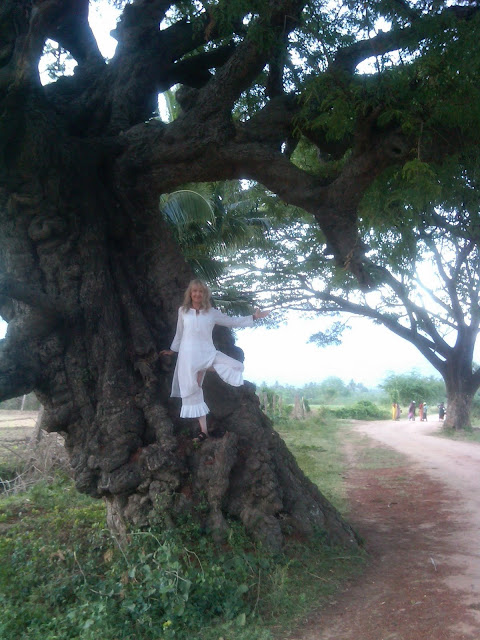 YA LIVING: Learning to meditate at Sadhguru's Ashram