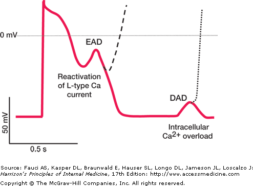 89 Mechanism of Torsades de Pointes