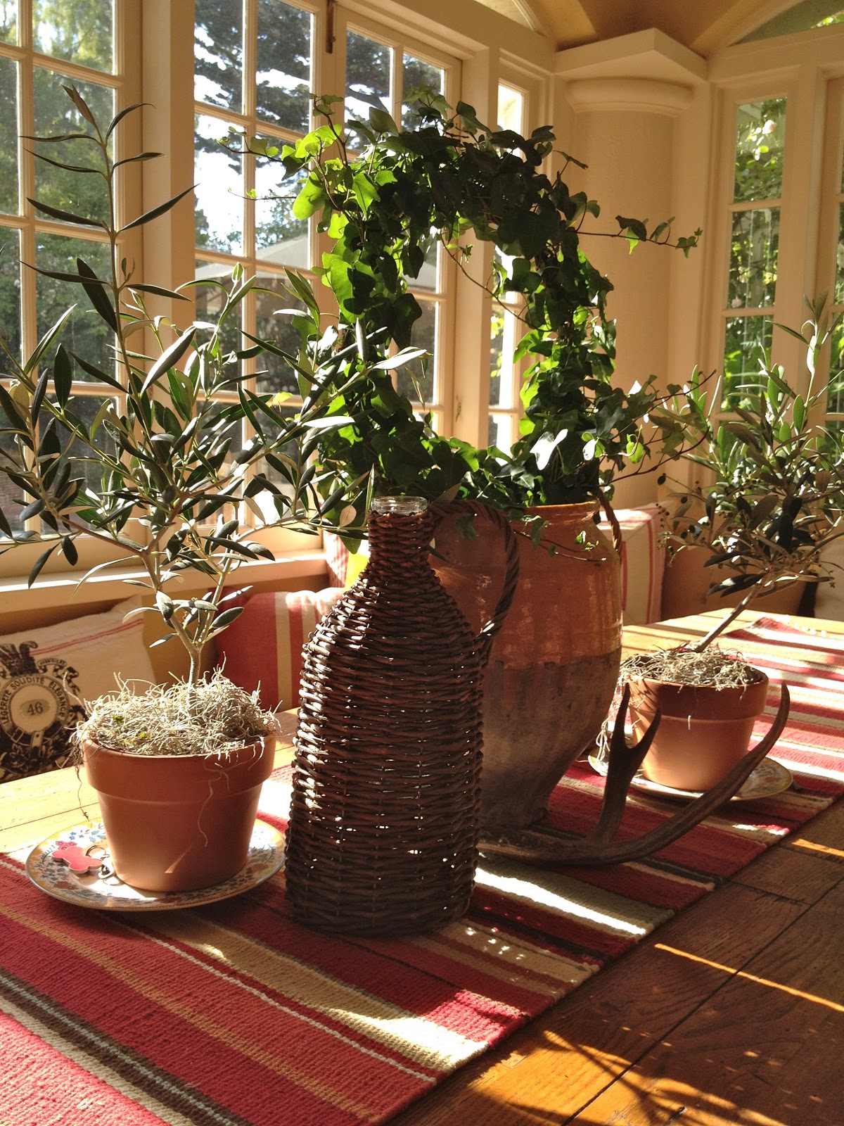 vignette design: All Spruced Up!