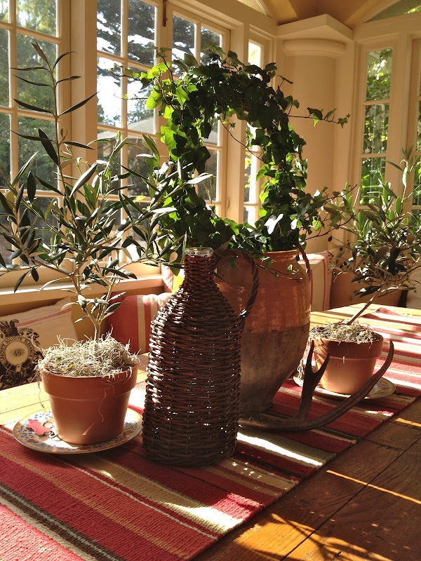 vignette design: All Spruced Up!