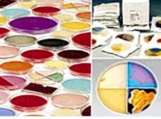 Medios de Cultivo en Microbiología | Explorando el Universo de la ...