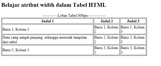Penggunakan TAG Pada HTML 10 - Cara Mengatur dan Mengubah Lebar Tabel ...