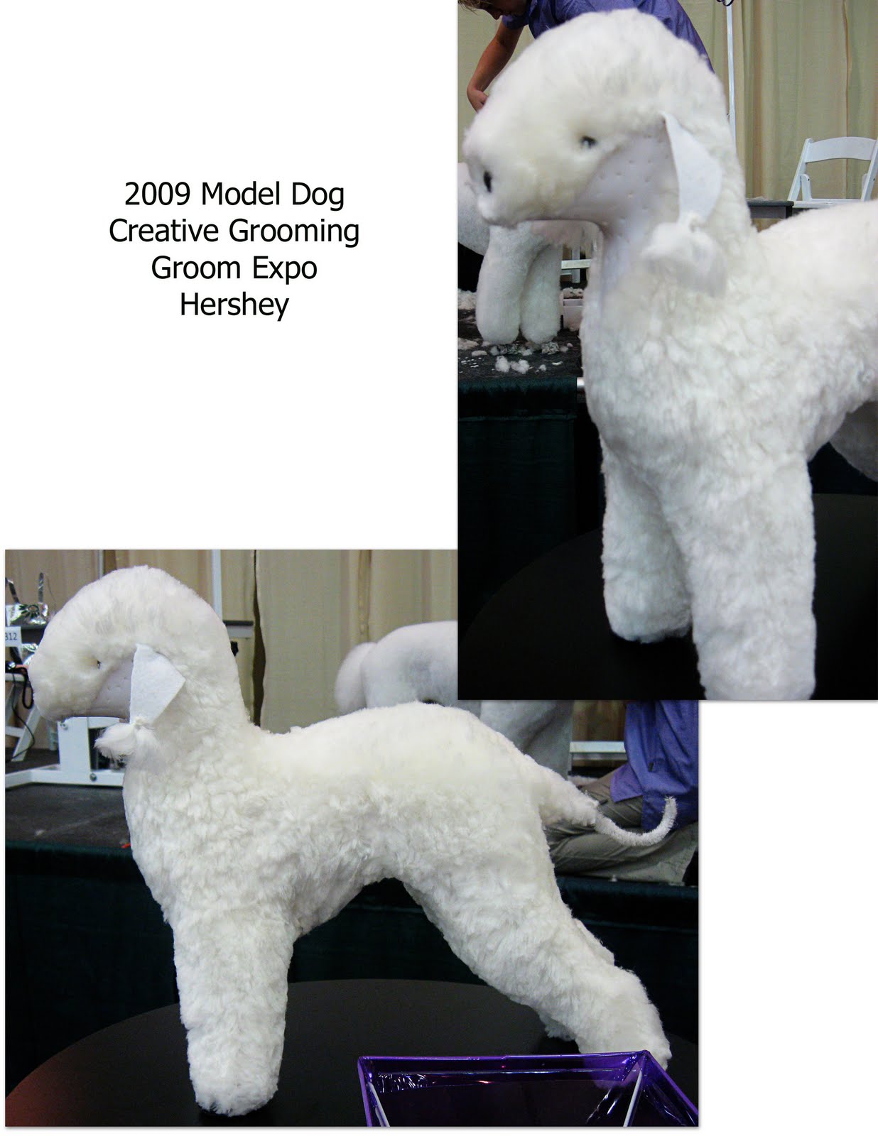 Pet Grooming: The Good, The Bad, & The Furry: Model Dog Grooming