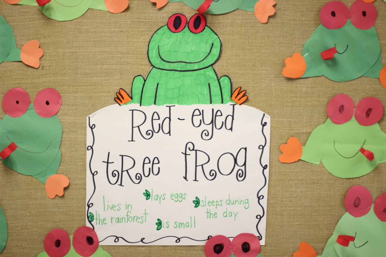 Red-Eyed Tree Frogs! and a Mini-Giveaway! : Blue Skies with Jennifer White