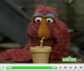 First Grade Garden: What Have We Been Up To...