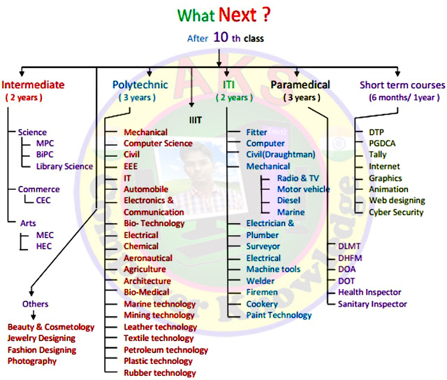 what next? after 10th class