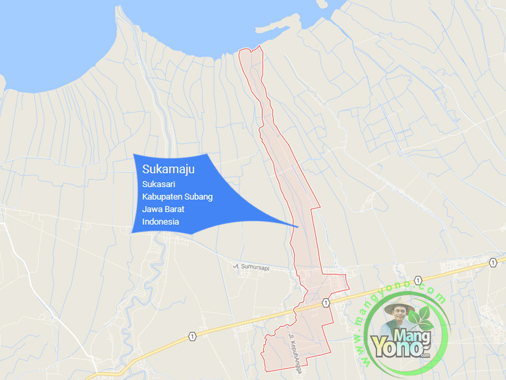 Desa Sukamaju, Kecamatan Sukasari