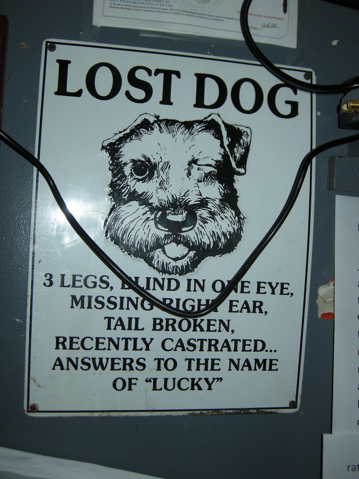 Kitchens Are Monkey Business: It's All About Oysters. Lucky 12 Tavern.