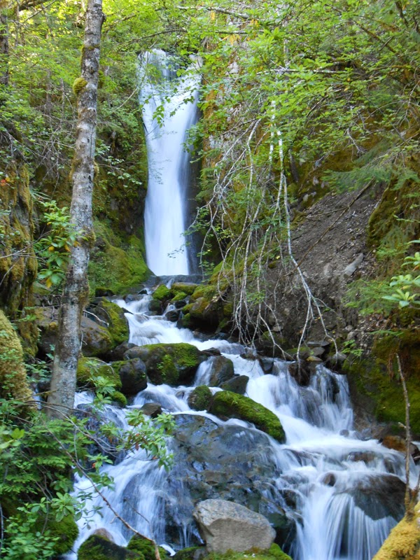 Val-Di-Ree: Obstruction Point to Dosewallips River, July 23-26, 2013