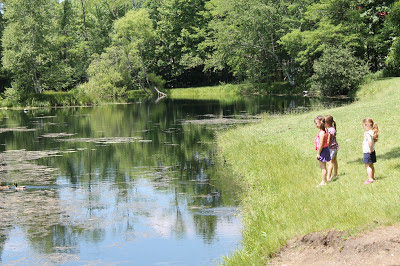 Playground Hopping: Endicott Park - Danvers - North of Boston