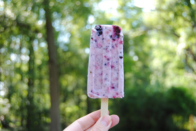 The Hungarican: * homemade popsicles
