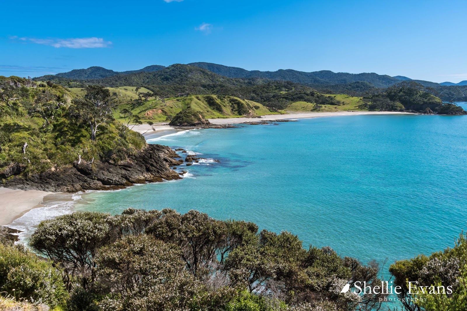 Two Go Tiki Touring: Perfect Puriri Bay- Part 2