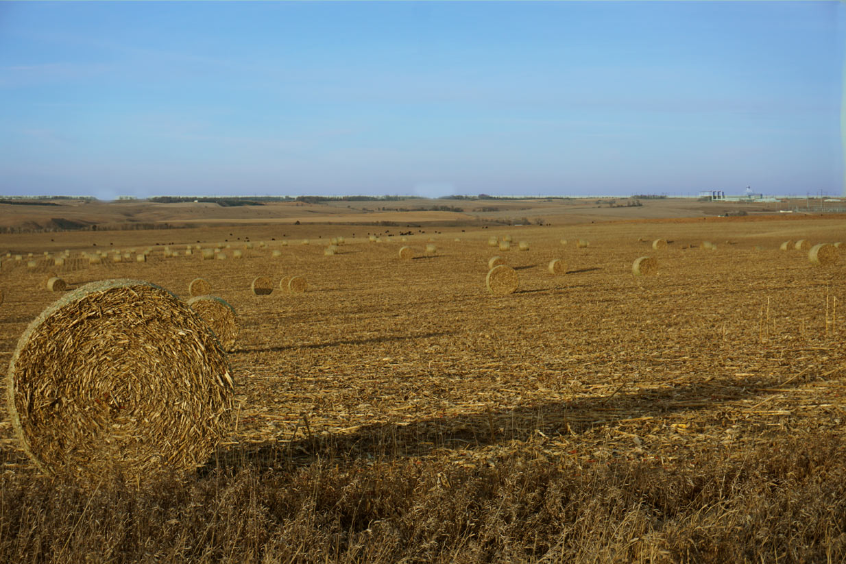 Taken For Granted: Bale Shadows