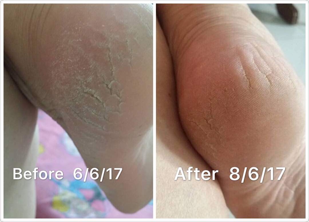 PHHP Phyto Products Help You to Lead a Happy and Beautiful Life!: PHHP ...