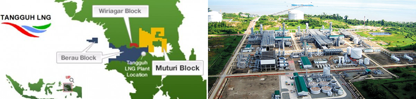 Linux , Java, DimCon & Surveyor Activities: Saipem awarded Tangguh ...