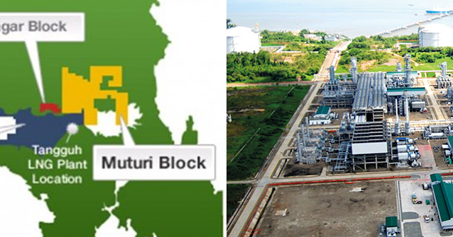 Linux , Java, DimCon & Surveyor Activities: Saipem awarded Tangguh ...