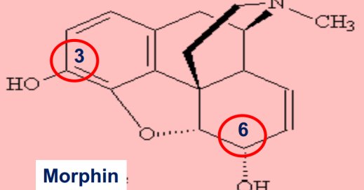 học Y: thuốc giảm đau loại morphin (official)