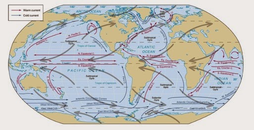 Brazil Current: Brazil Currents