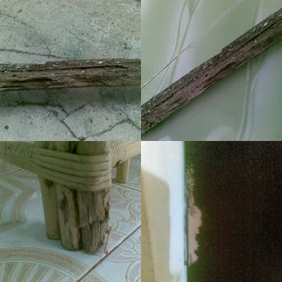 Cacat Pada Kayu - Dhadho.Smanda