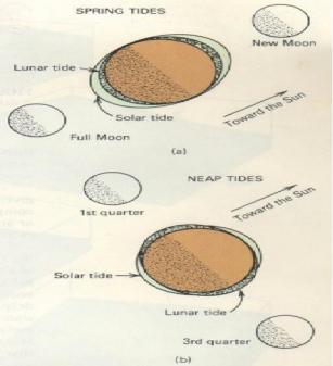 Fisika Kelautan (Oseanografi Fisik) | Jelajah IPTEK