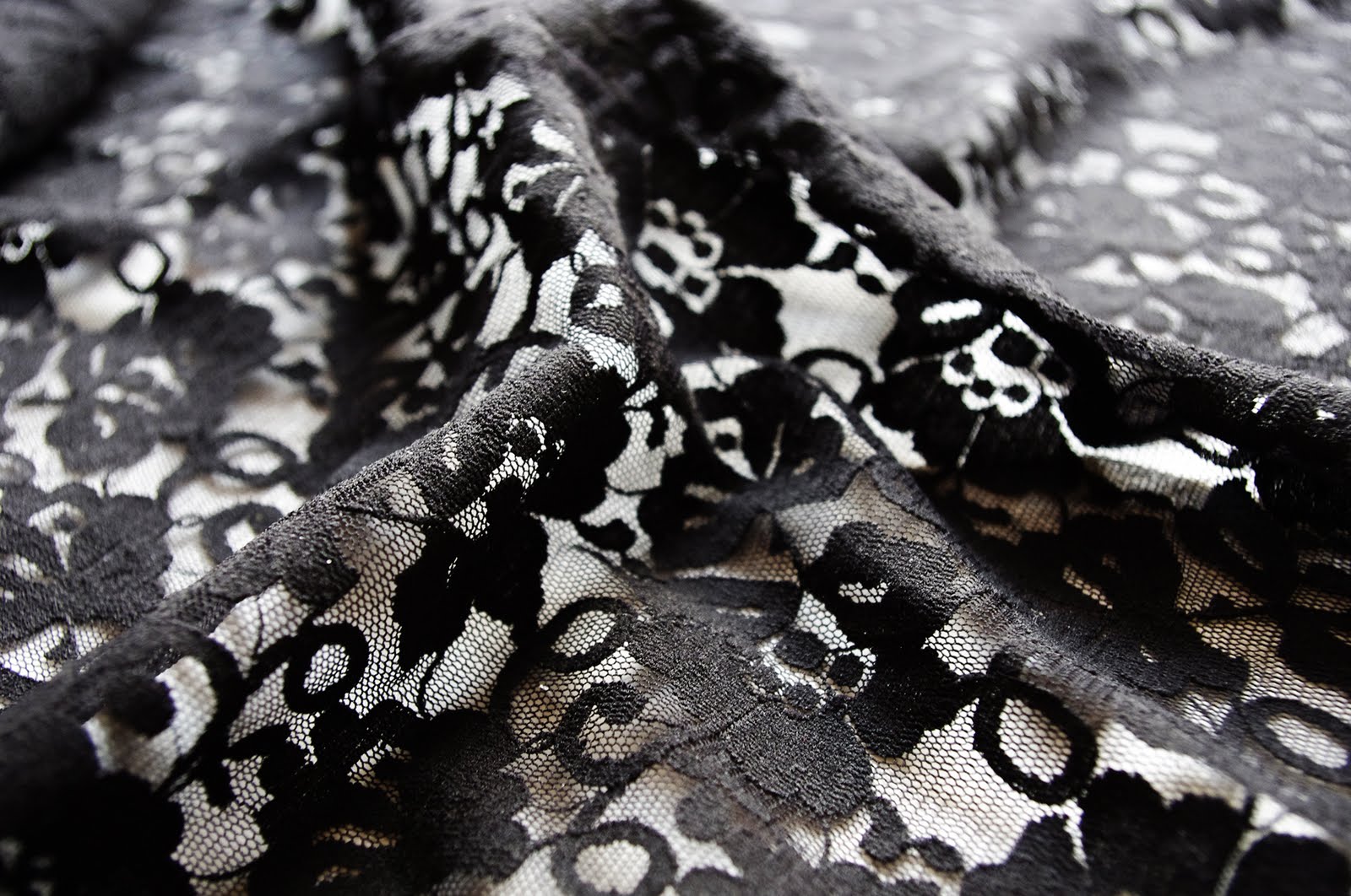 VERUCA IN CYNNER'S LAND | Veruca Cyn