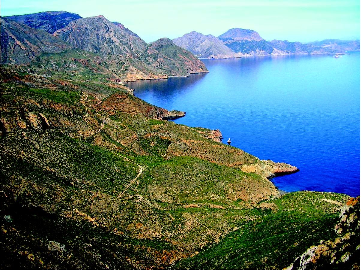 Ecosistema Terrestre: Ecosistema Terrestre