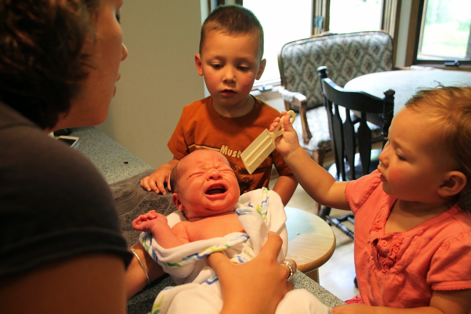 Adventures with Gus, Bernadette, Dominic and Josephine: Bath Time and ...