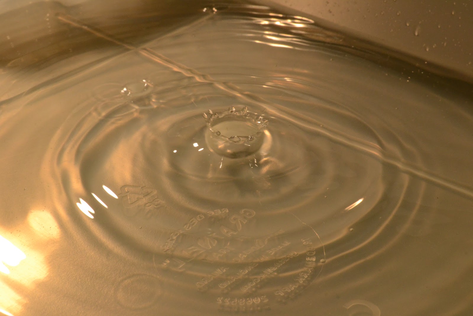 Media Projects: Fast shutter speed photographs