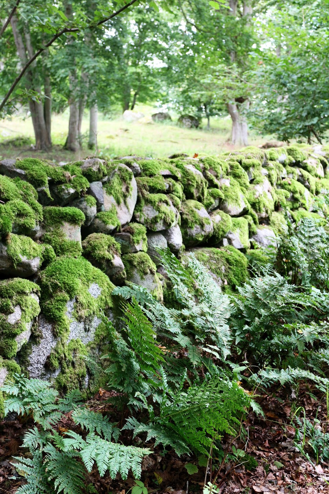 MOSSA Trädgårdsmästeri & Design: Valje Halvö - naturreservat för att ...