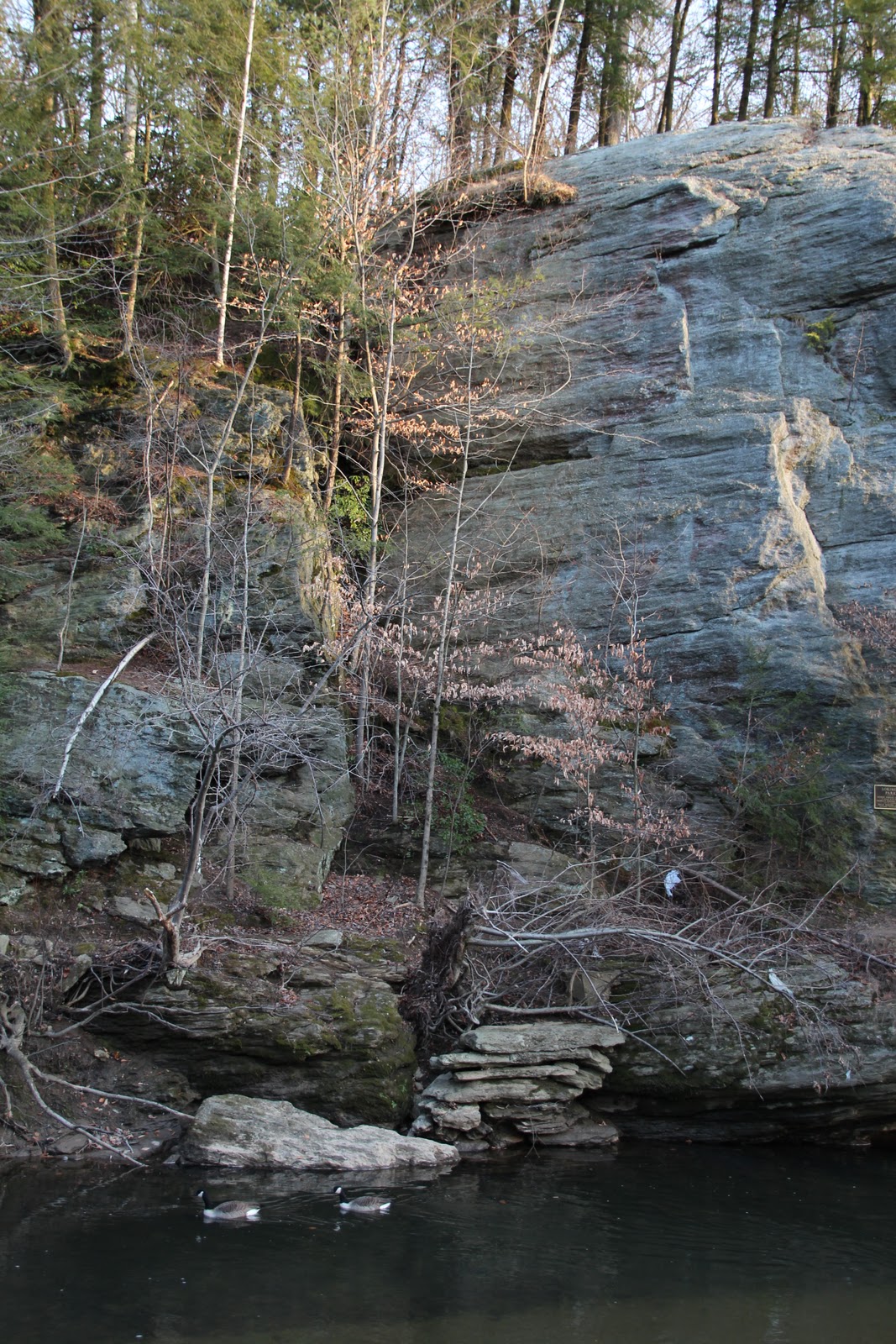 It Just Comes Naturally: Council Rock