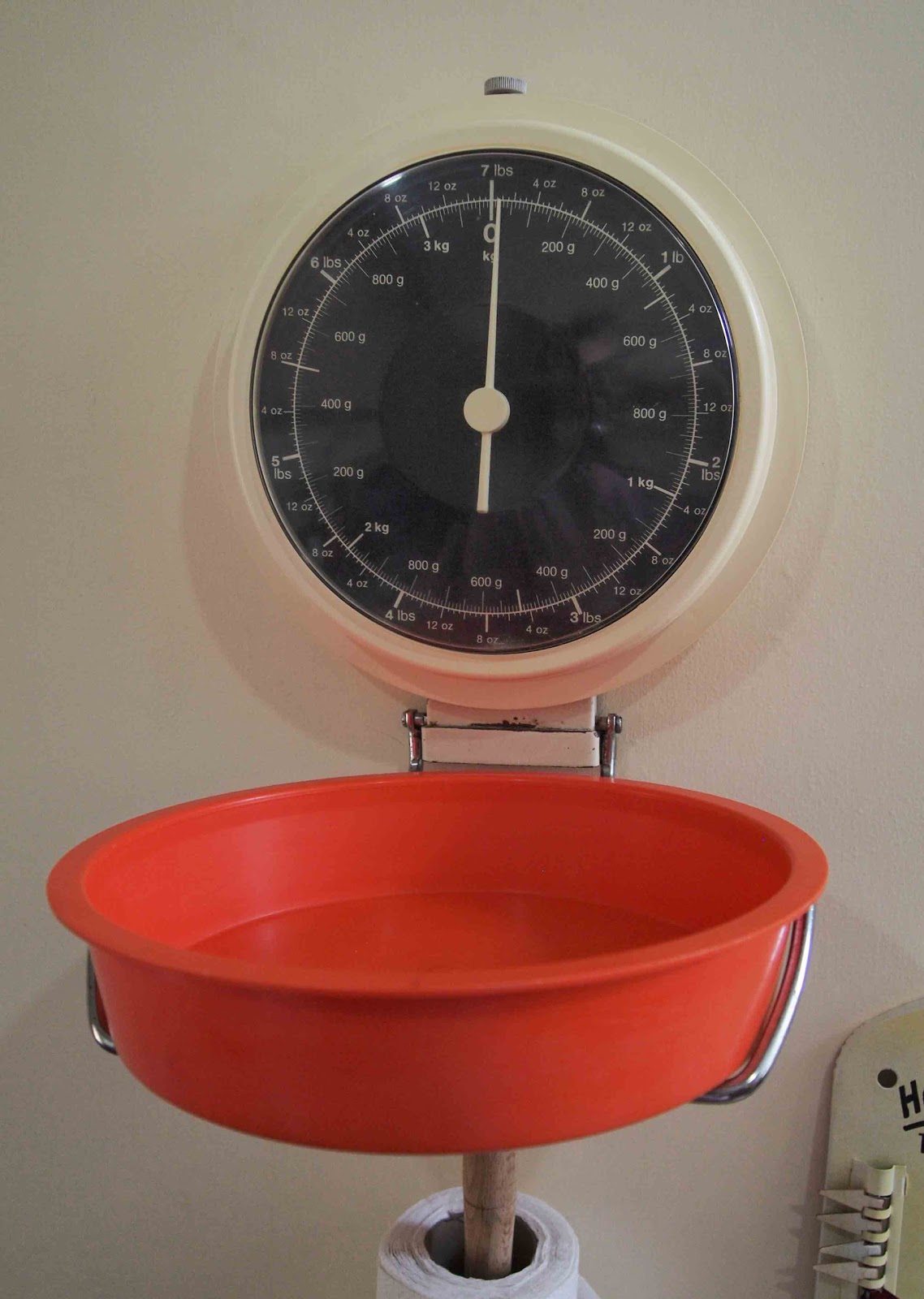 Springy Beard: Wall-Mounted Scales