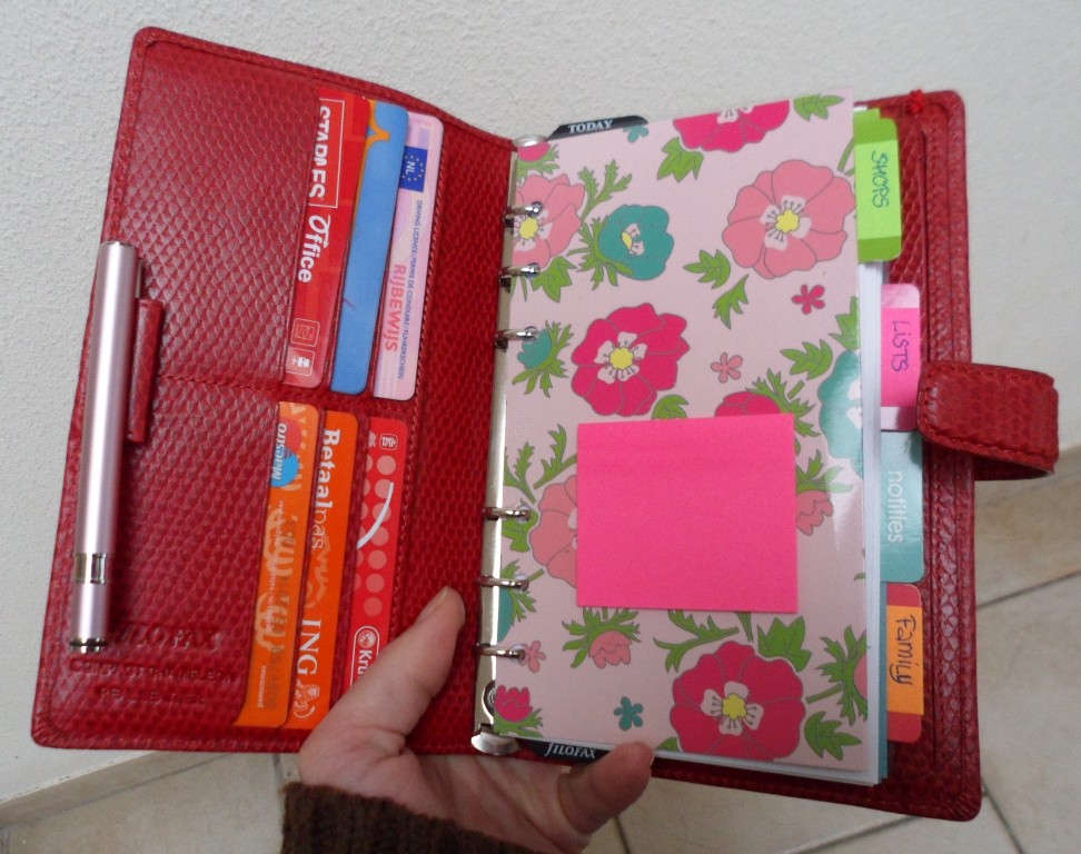 My Life All in One Place: All Stars Guest Post by Judith: Today, I ...