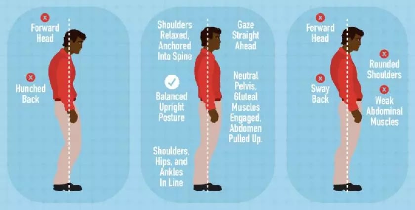 Idea for today: 12 Rules for Life #1 Stand Up Straight With Your ...