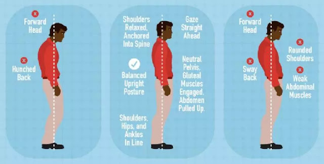 Idea for today: 12 Rules for Life #1 Stand Up Straight With Your ...