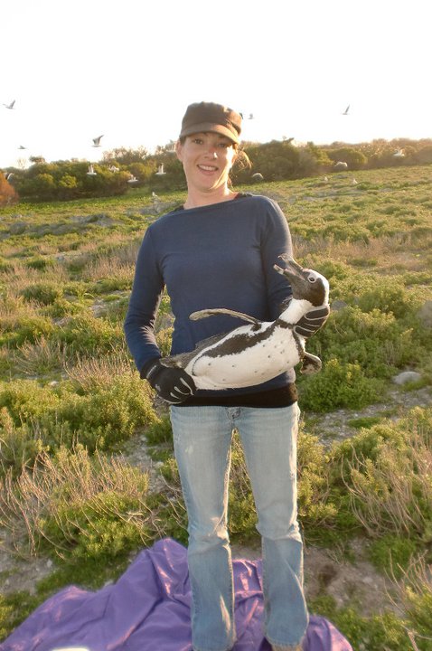 Robben Island Penguin Tracks: Researchers & Assistants