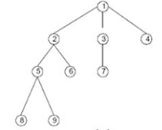 Breadth First Search (BFS) dan Depth-First Search (DFS)