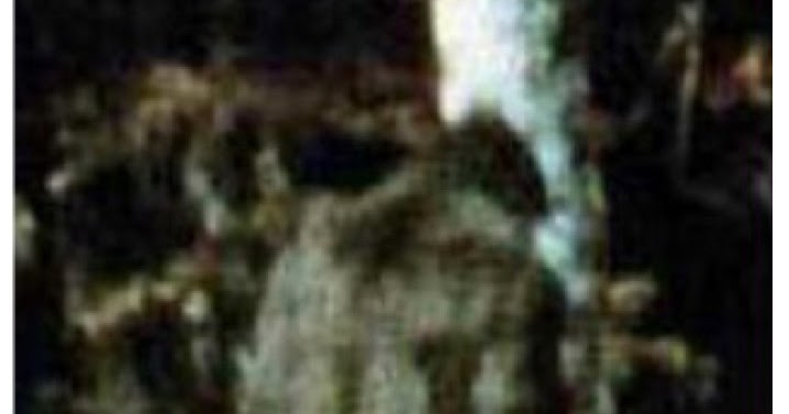 Texas Cryptid Hunter: The Best Bigfoot Photographic and Video Evidence