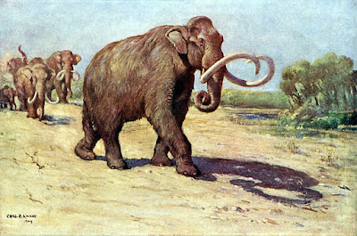 Is it still possible to eat mammoth meat today? | Facts About All