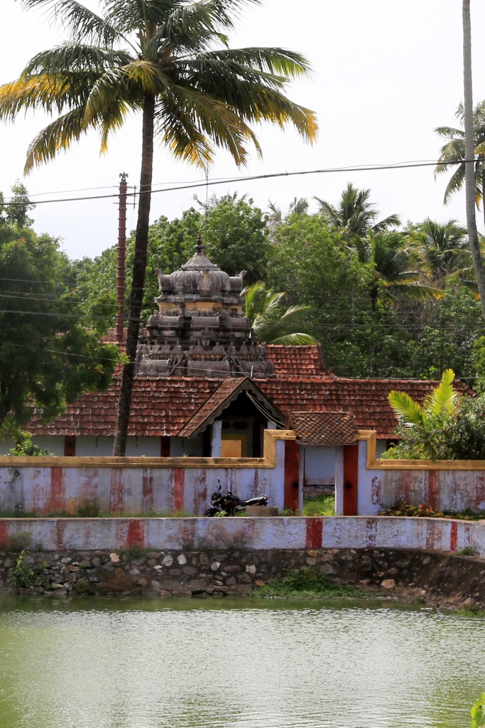 Tamilnadu Tourism: Shankara Narayanan Temple & Arthanareeswarar Temple ...