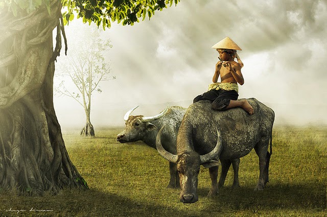 Kisah Anak Gembala Bijaksana - Cerita Masa Lalu