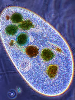 Presentation Name at emaze Presentation