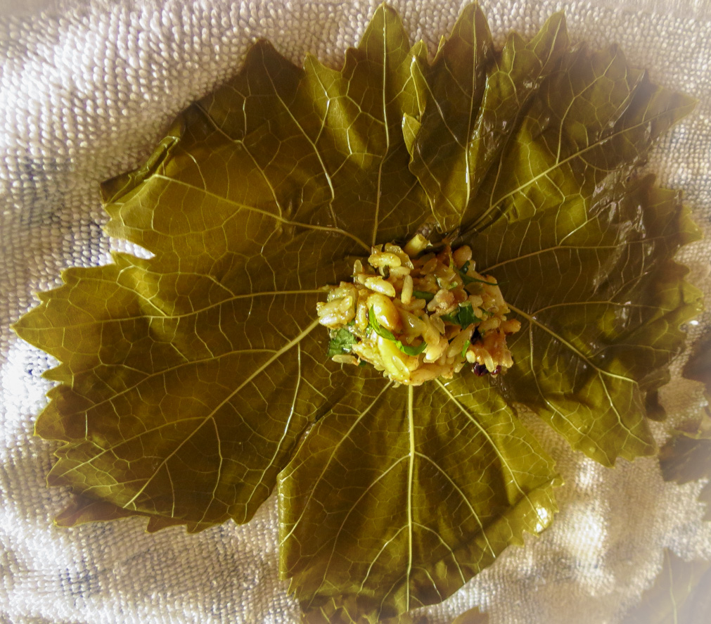 OnTheMove-In the Galley: Stuffed Grape Leaves