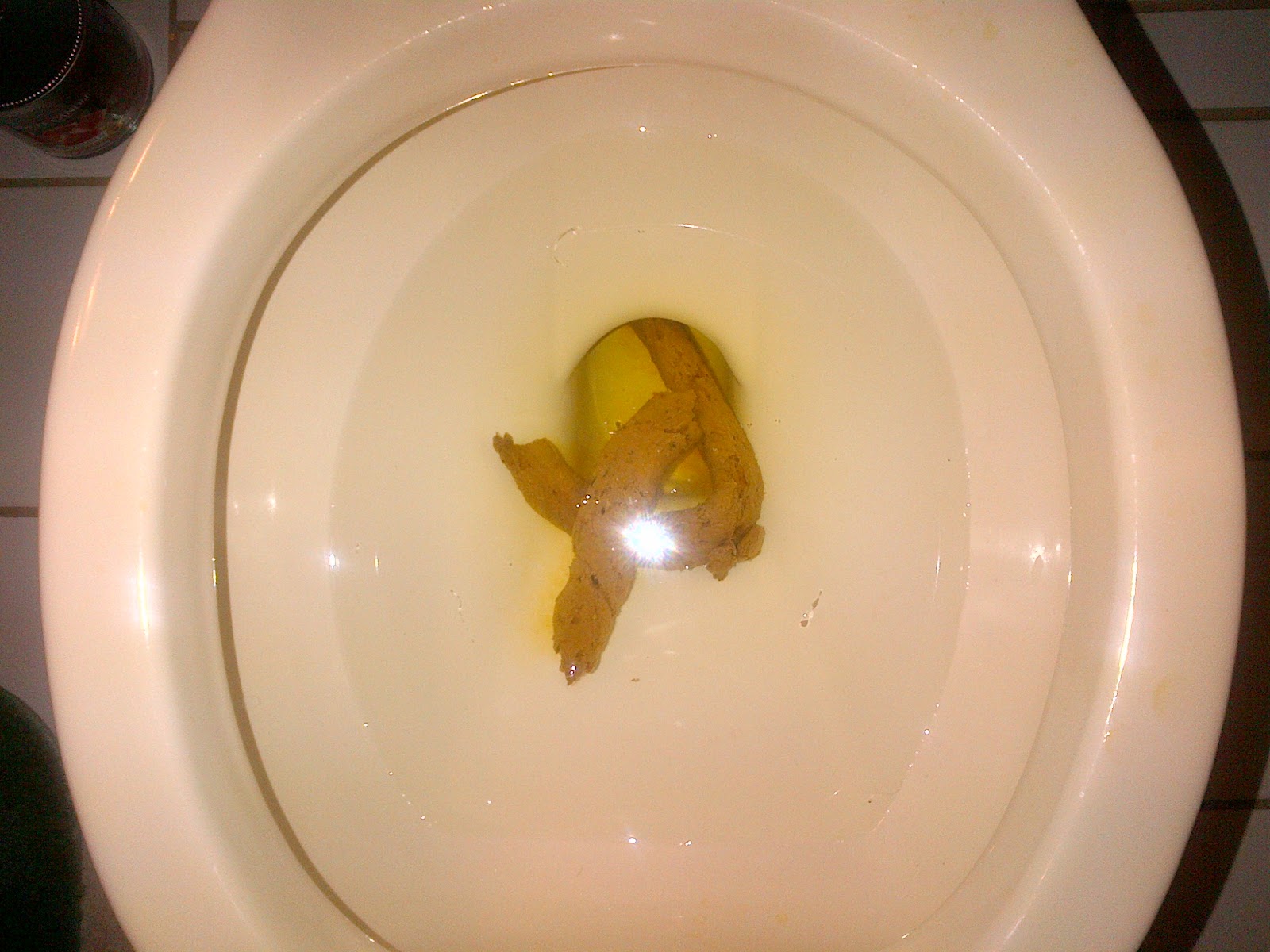 My Daily Poo: Oct 7, post full cheat day poo
