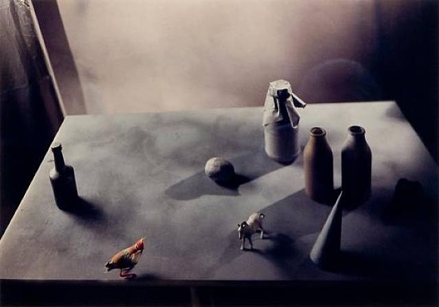 Out of this world: Jan Groover - Postmodern Photographer